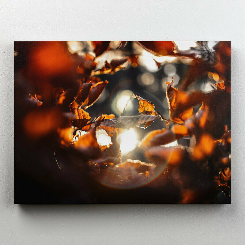 Интерьерная картина на холсте "Лучи солнца в листве", размер 60x45 см