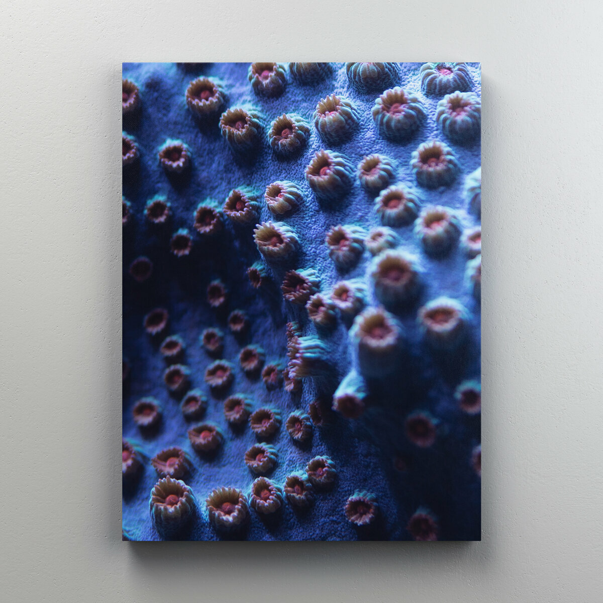 Интерьерная картина на холсте "Экзотические морские кораллы" океан, размер 22x30 см