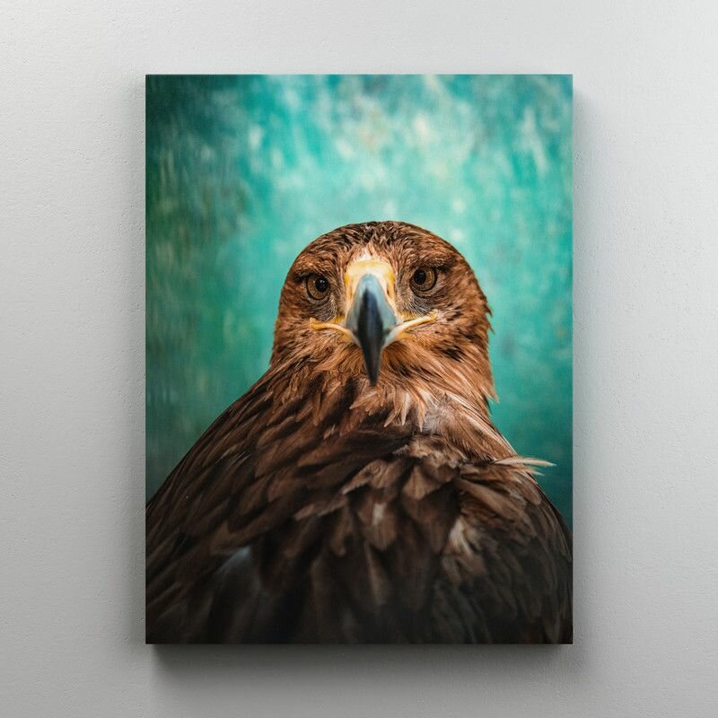 Интерьерная картина на холсте "Птицы - Степной орёл" размер 22x30 см