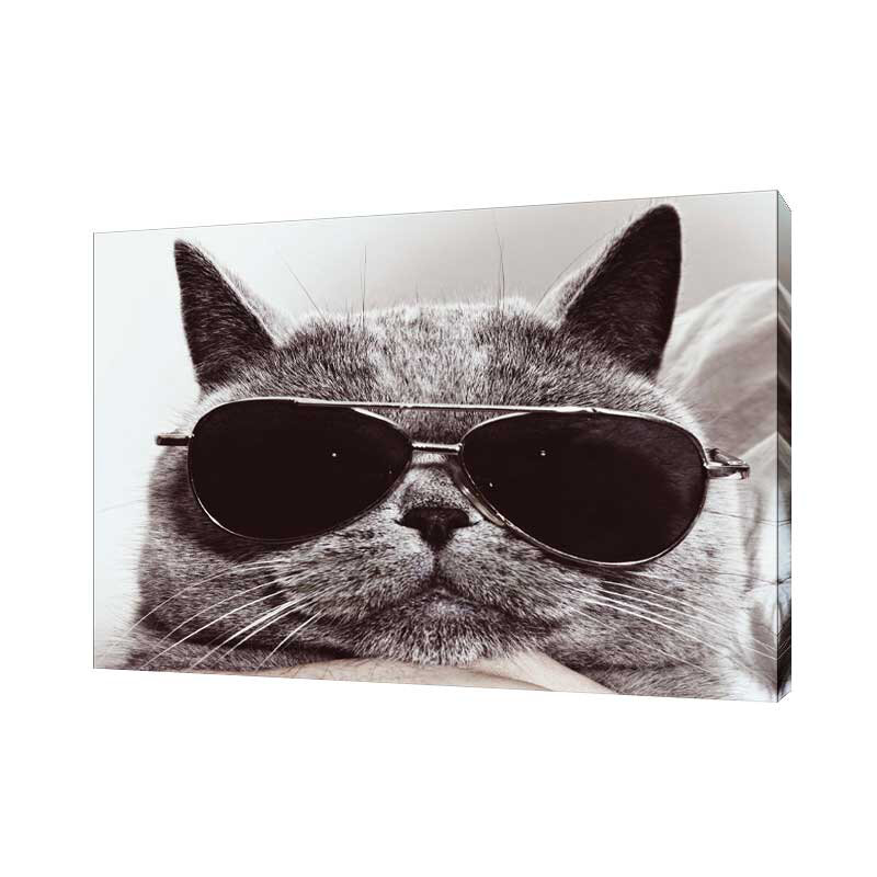 Картина на холсте Кот в очках, 30х40 см