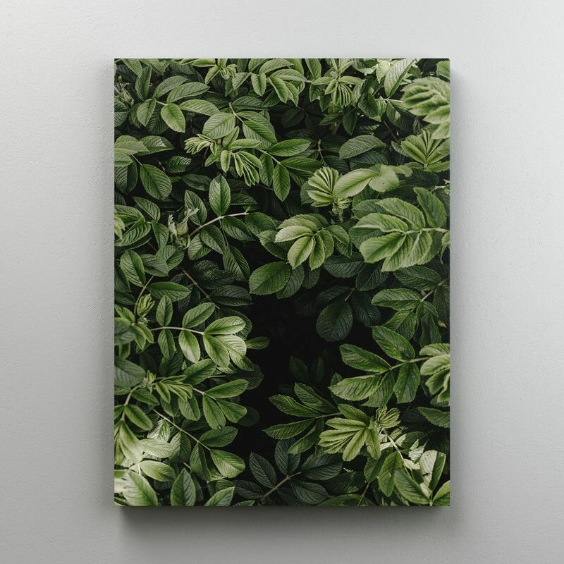Интерьерная картина на холсте "Зеленый кустарник" размер 22x30 см