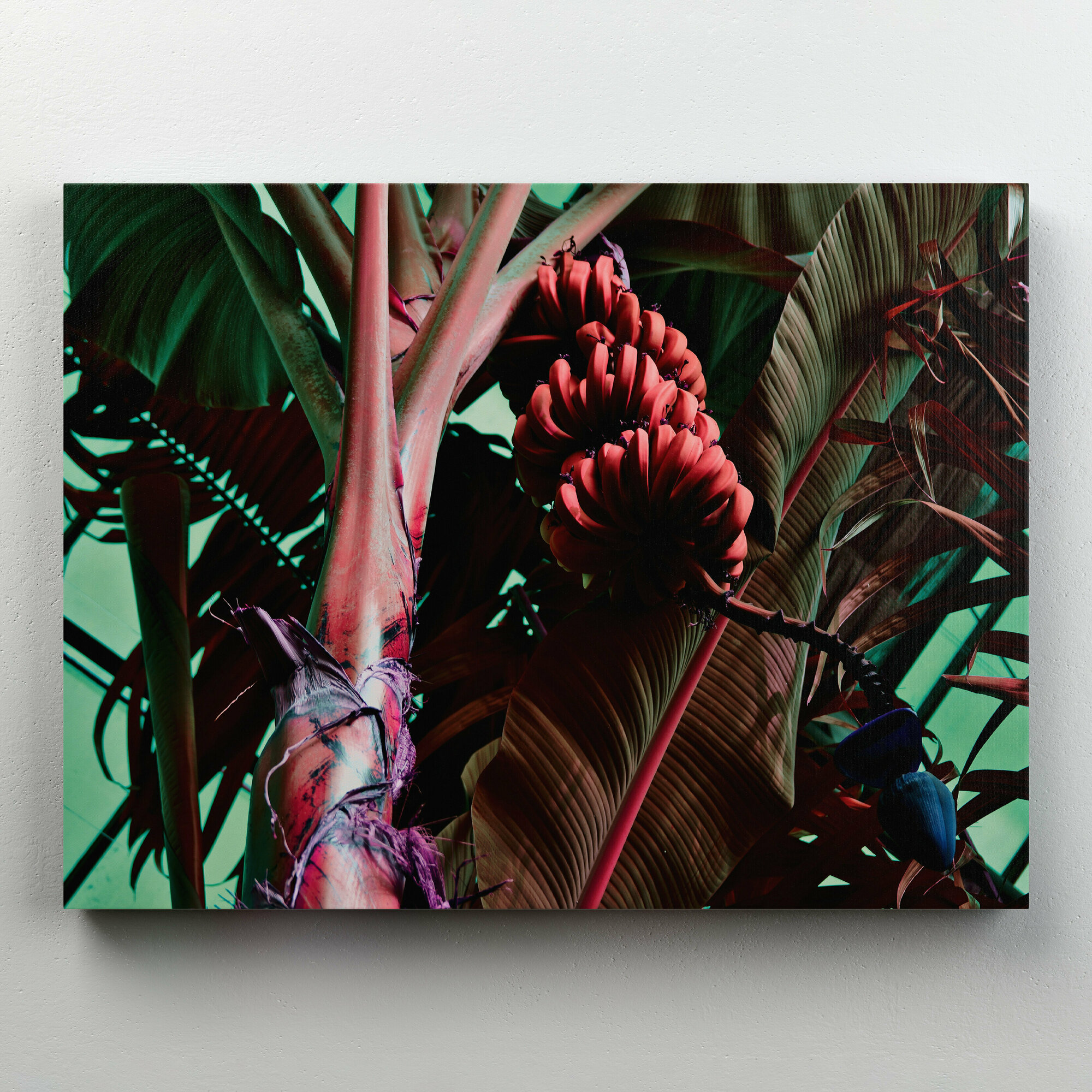 Интерьерная картина на холсте "Фруктовая пальма" растения, размер 30x22 см