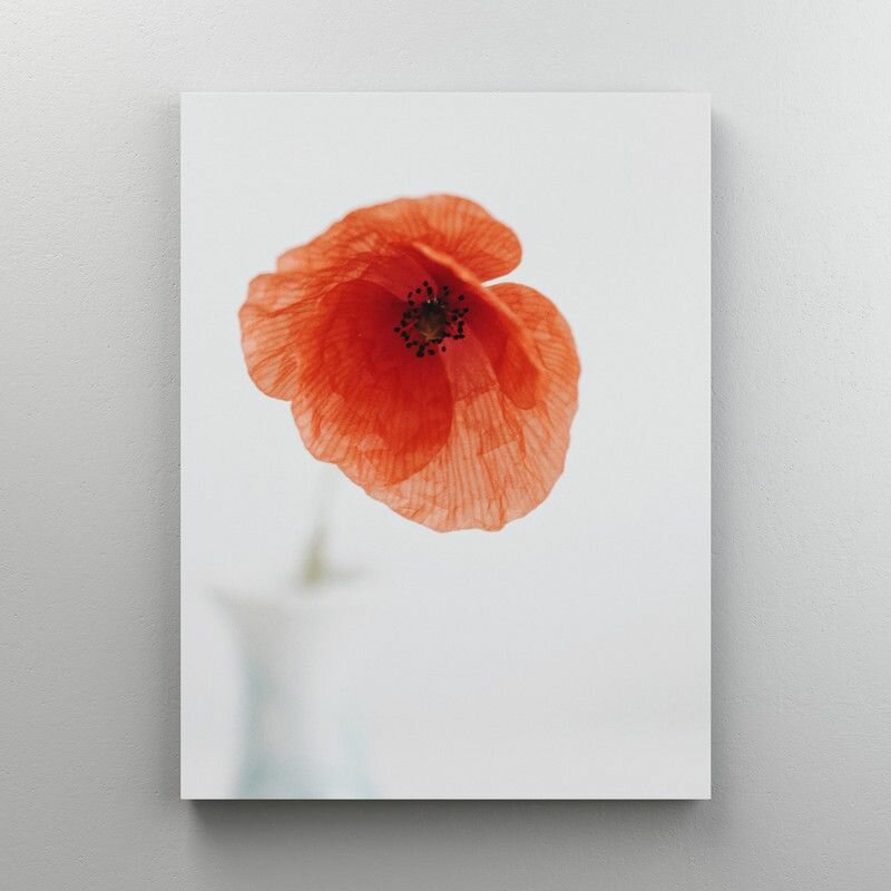 Интерьерная картина на холсте "Нежный бутон мака" размер 22x30 см