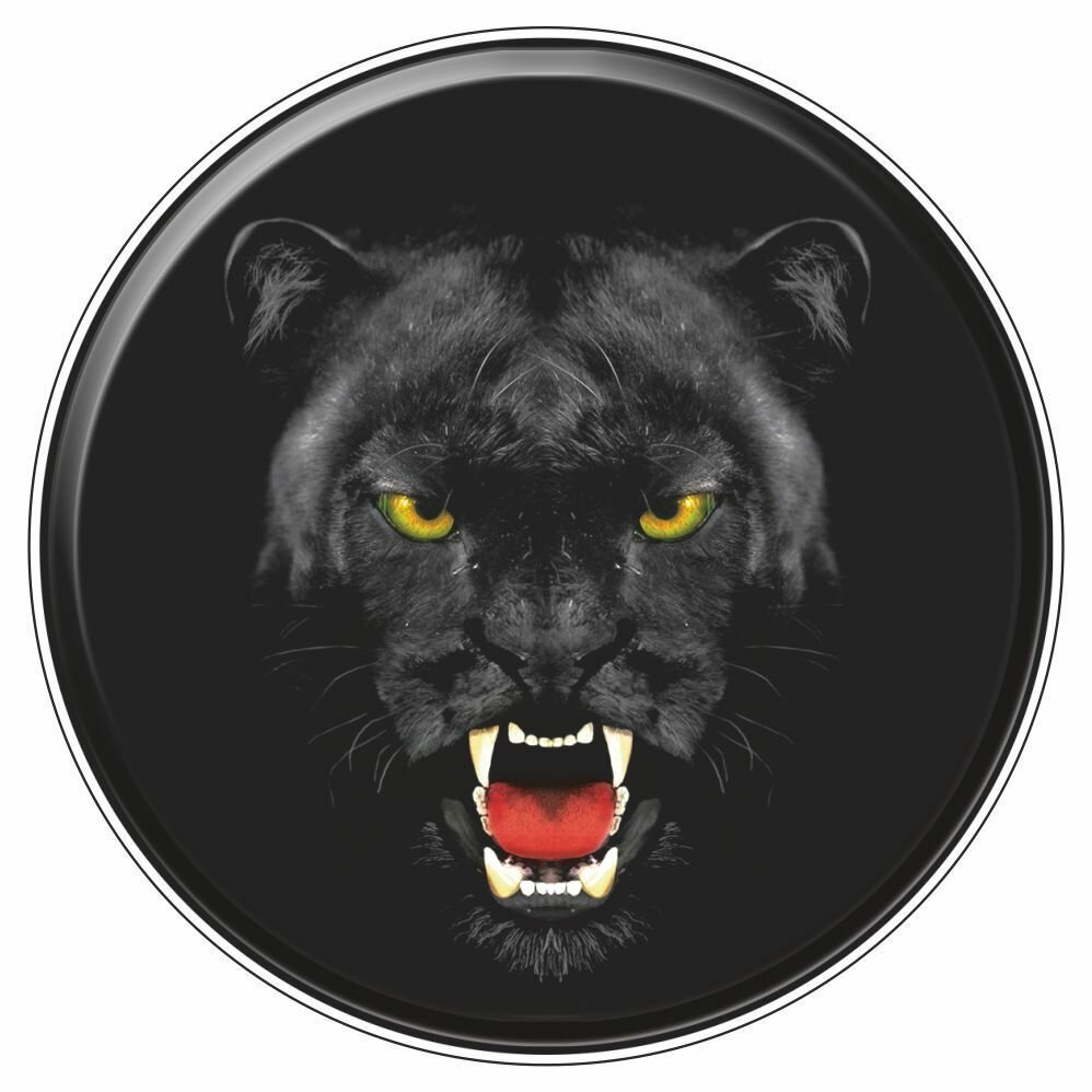 Наклейка "Круг (Черная пантера)", 100х100мм, Арт рэйсинг