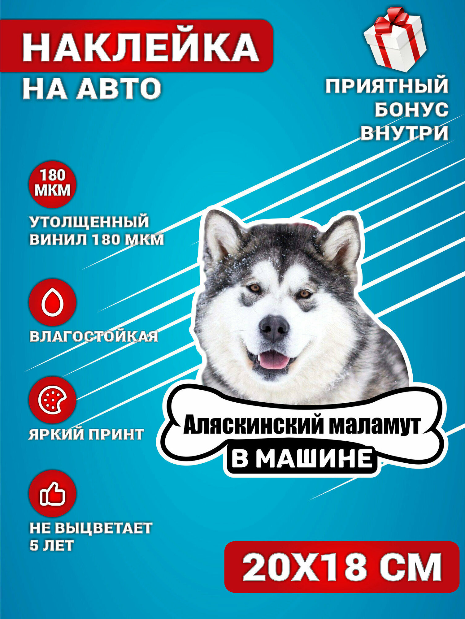 Наклейки на авто стикеры на стекло на кузов авто Аляскинский маламут собака в машине 20х18 см