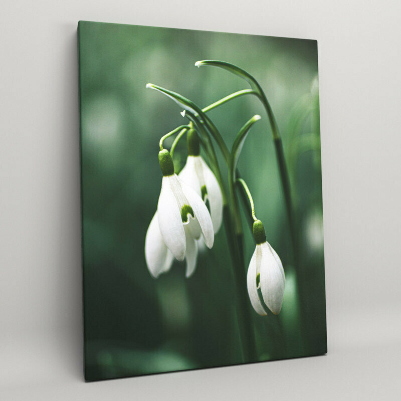 Картина на холсте (интерьерный постер) "Первые подснежники - цветы", с деревянным подрамником, размер 22x30 см