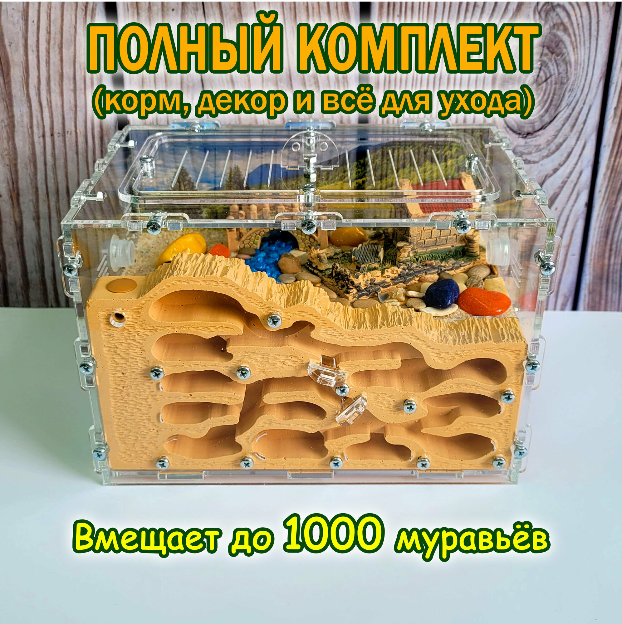 Муравьиная ферма