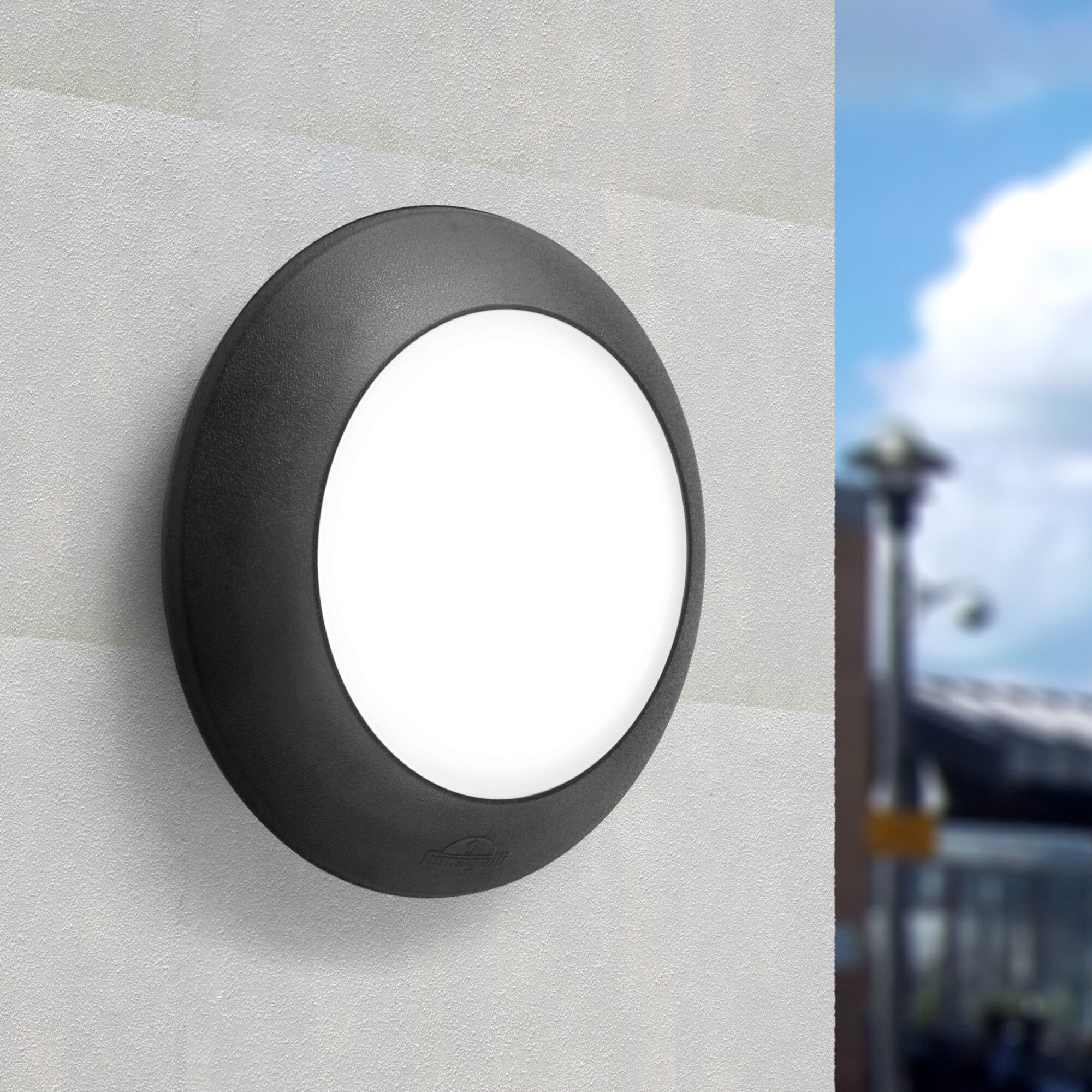 Уличное бра Fumagalli Bertina 1B1.000.000. AYC1L, Черный и Опал (молочный), с лампой 800Lm, 4000К