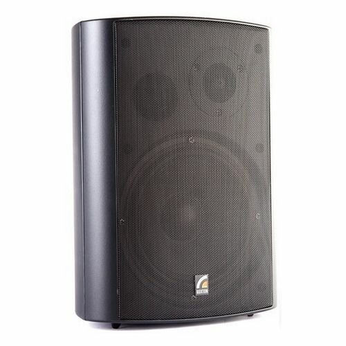 Громкоговоритель Roxton MS-20TB звуковая колонна 20Вт черный