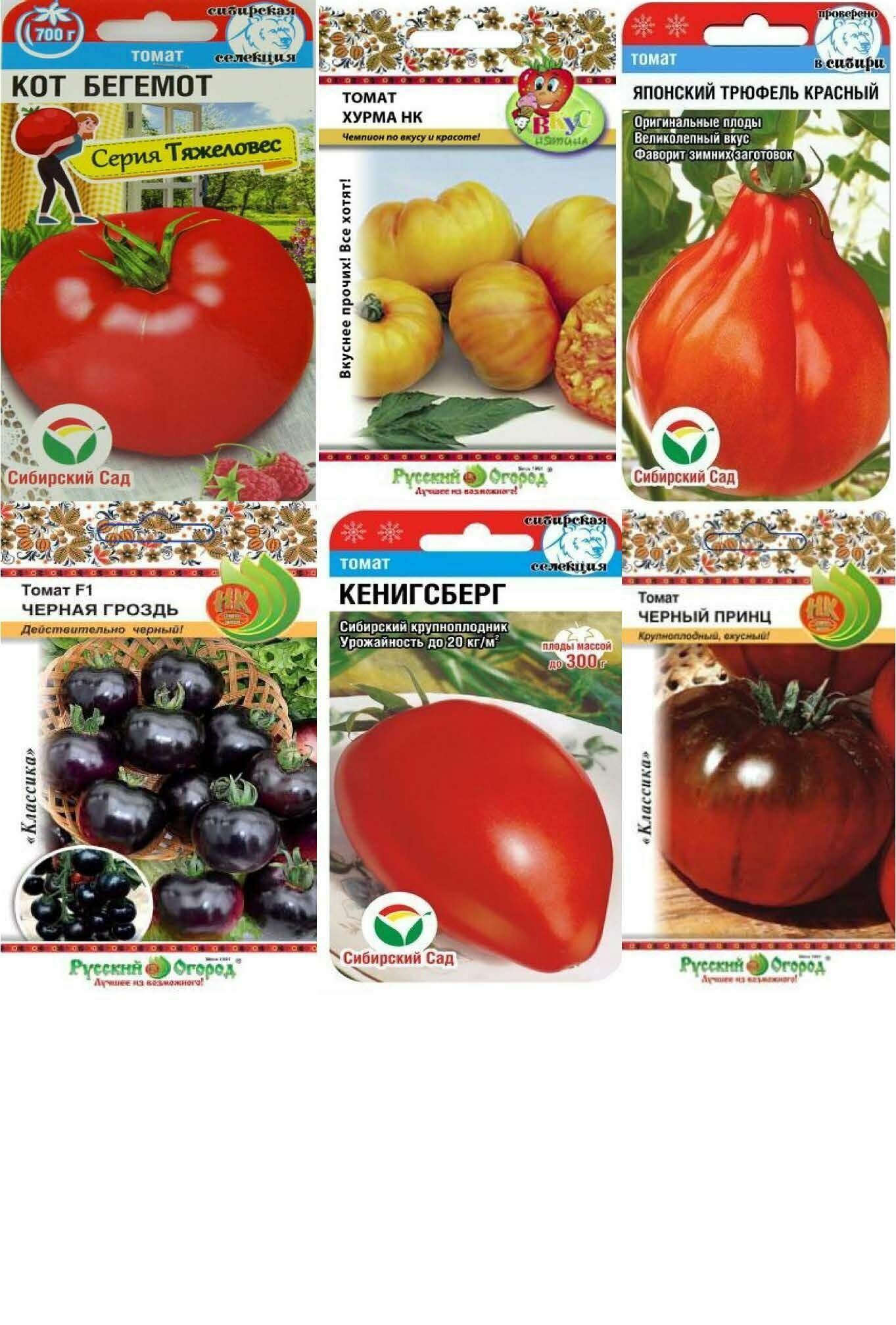 Набор №5 семена сахарных, вкусных помидоров для теплицы : Кот бегемот, Хурма, Японский трюфель, Черная гроздь, Кенигсберг, Черный принц (6 упаковок - более 80 семян томатов)