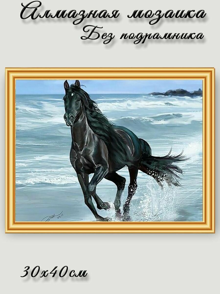 Алмазная мозаика "Скакун"