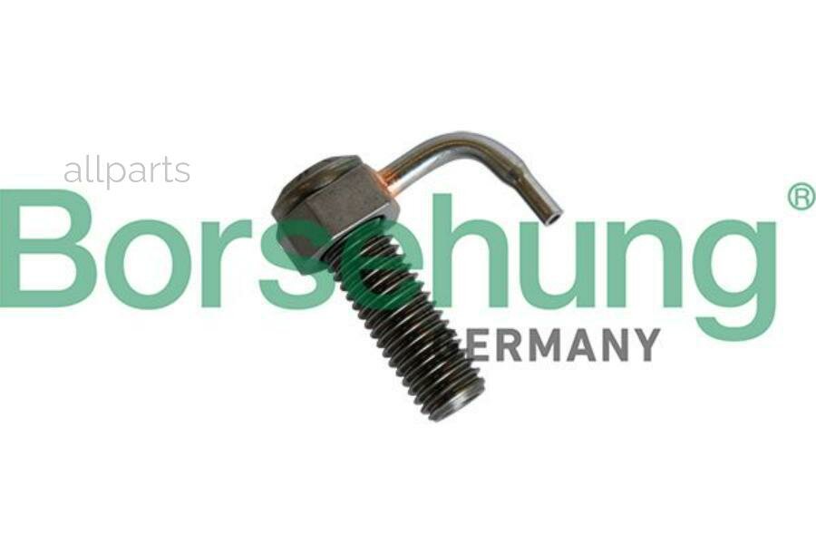BORSEHUNG B11162 Форсунка масляная