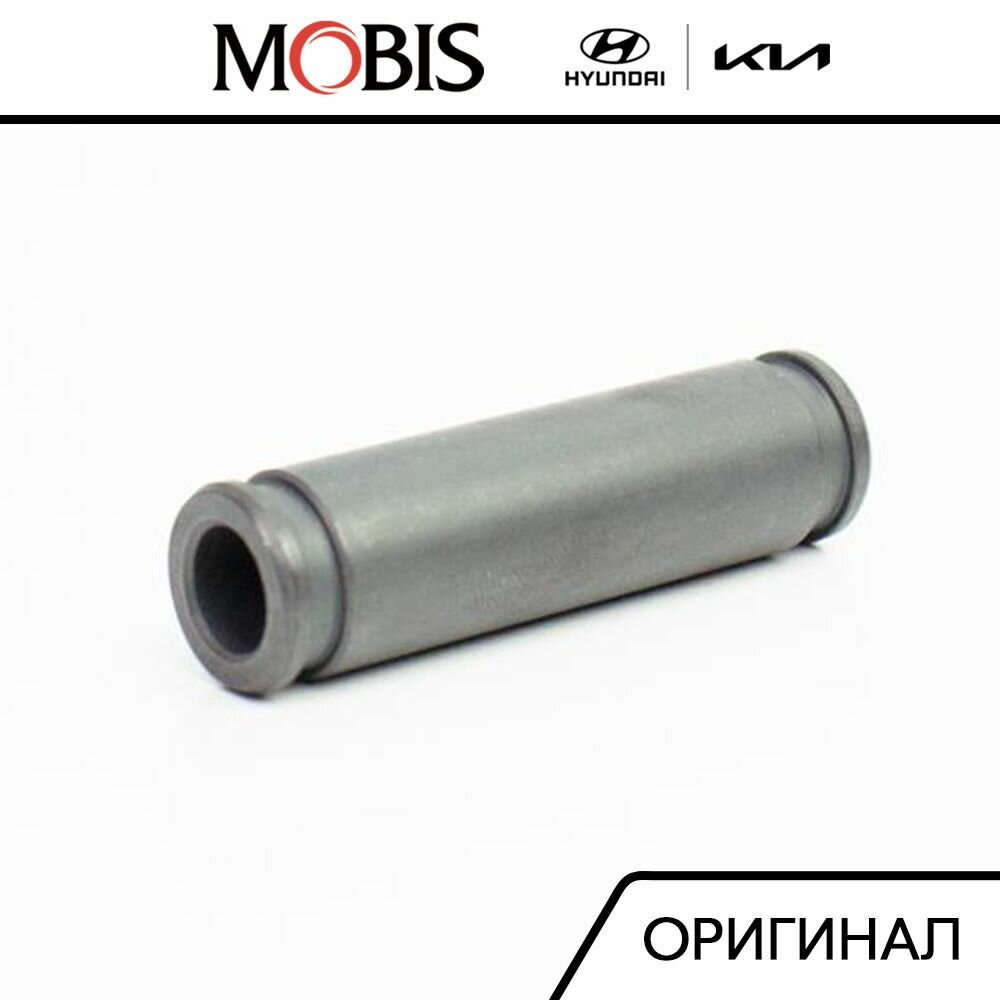 Направляющая суппорта переднего тормозного цилиндра для Hyundai Accent 1994-2006, Elantra 1990-2000, Getz 2002-2010, I20 2008-2014 / арт. 5816732000 / бренд MOBIS