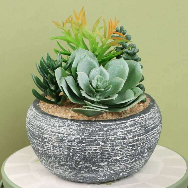 Искусственное растение в кашпо Succulent: Pace Della 17 см, Koopman, 321000070-2