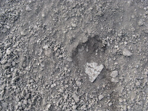 Асфальтная крошка, мешок 25кг