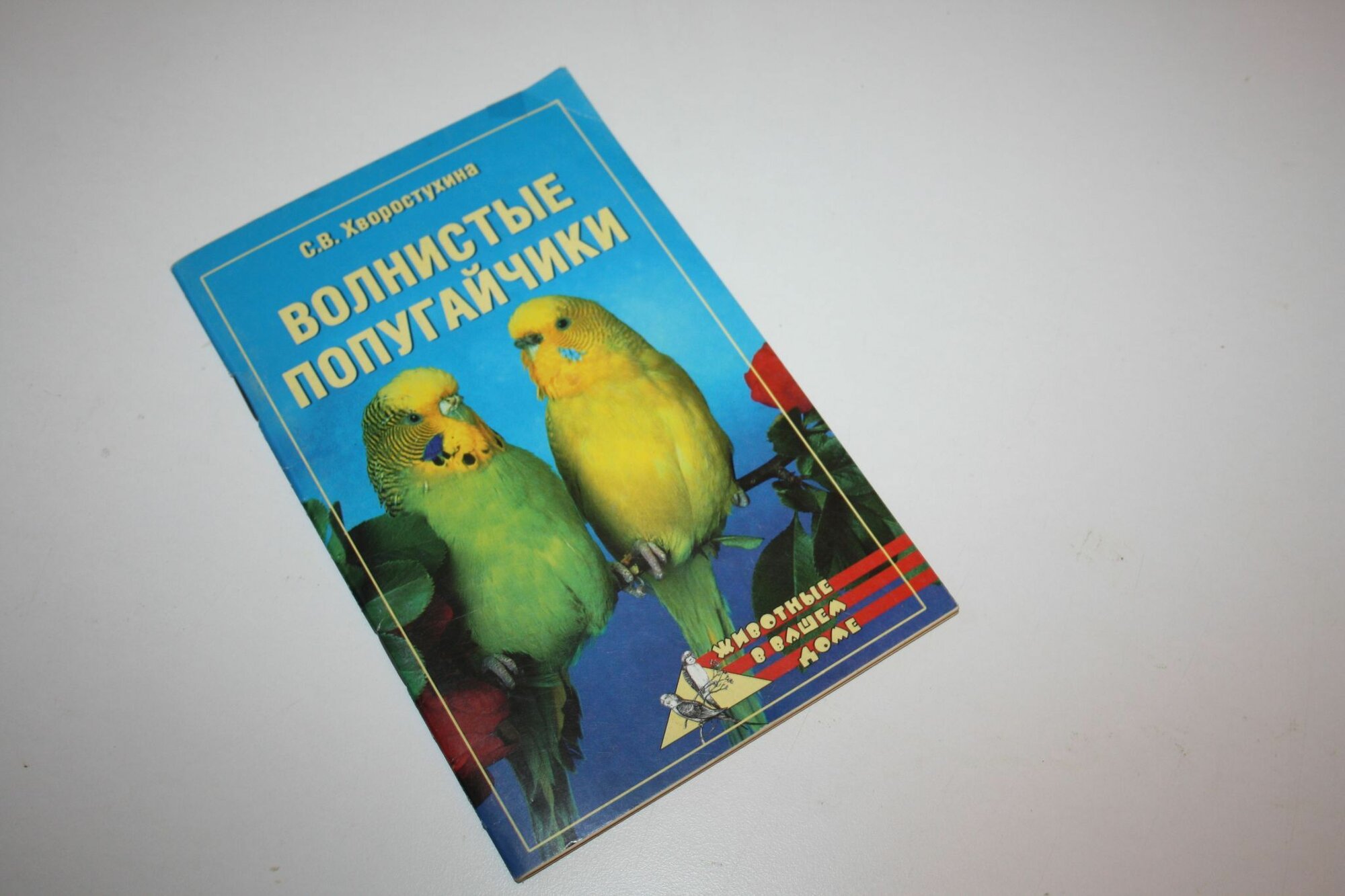 Волнистые попугайчики