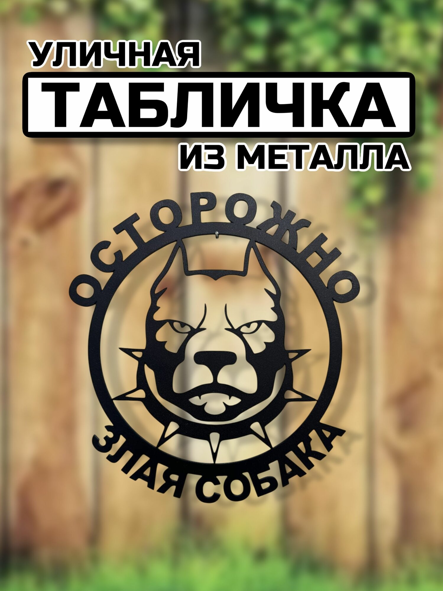 Табличка металлическая "Осторожно злая собака" 22х24 см