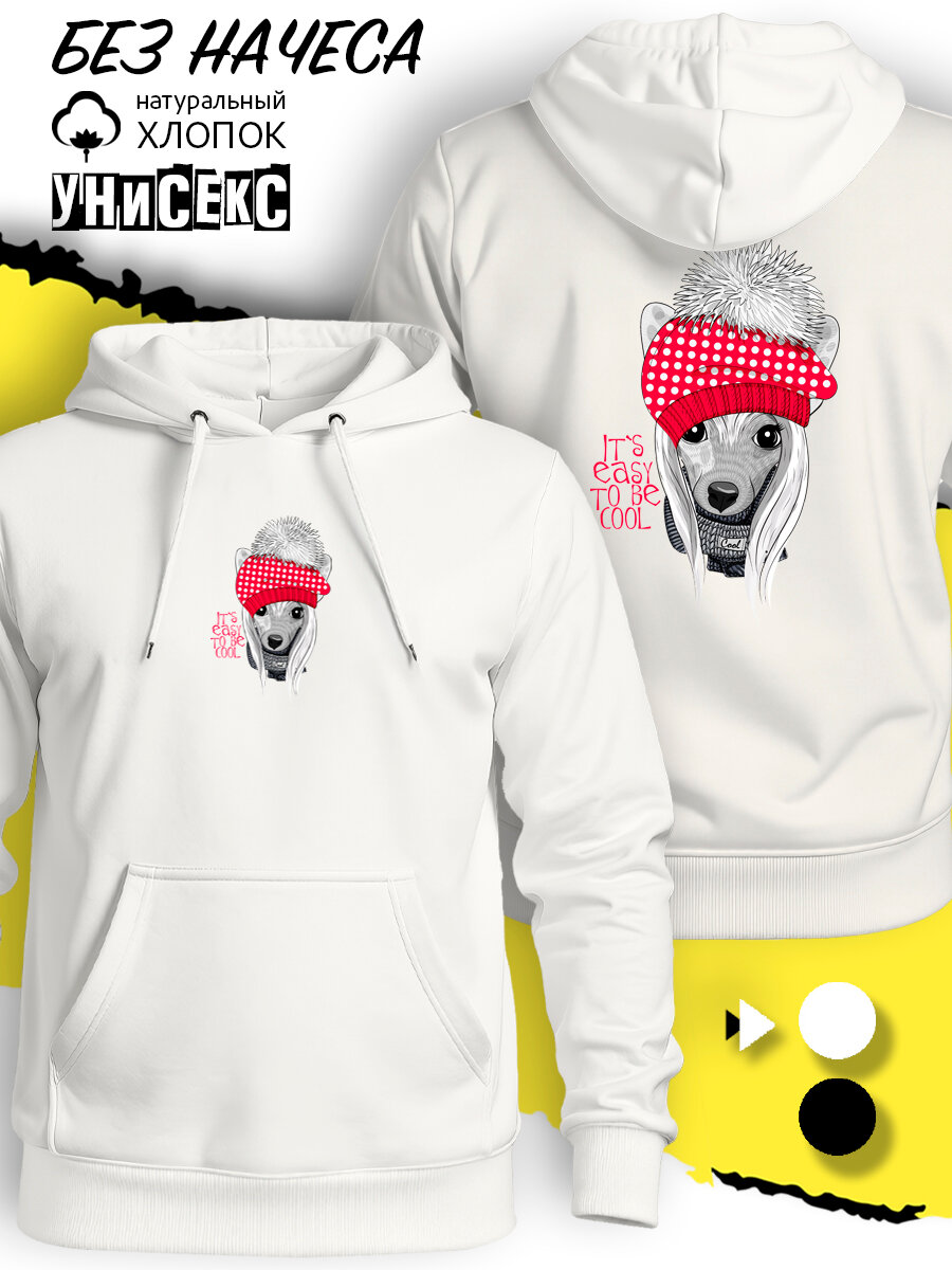 Худи Толстовка свитшот собака китайская хохлатая