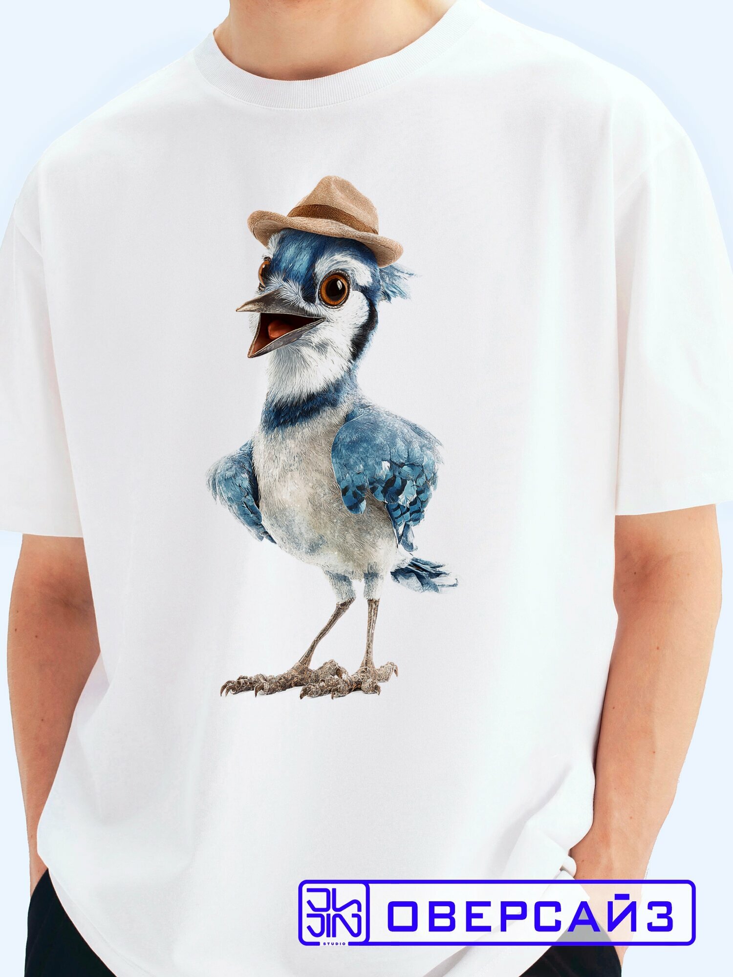 Футболка оверсайз мужская с принтом Веселая синяя птица в смешной голубой шляпе, крутой забавный принт, белый хлопковый трикотаж с прикольным рисунком на груди