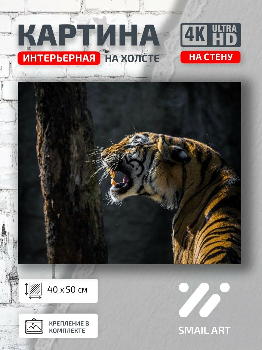 Картина на холсте интерьерная 40 на 50 на стену Ревущий тигр для гостиной атмосфера