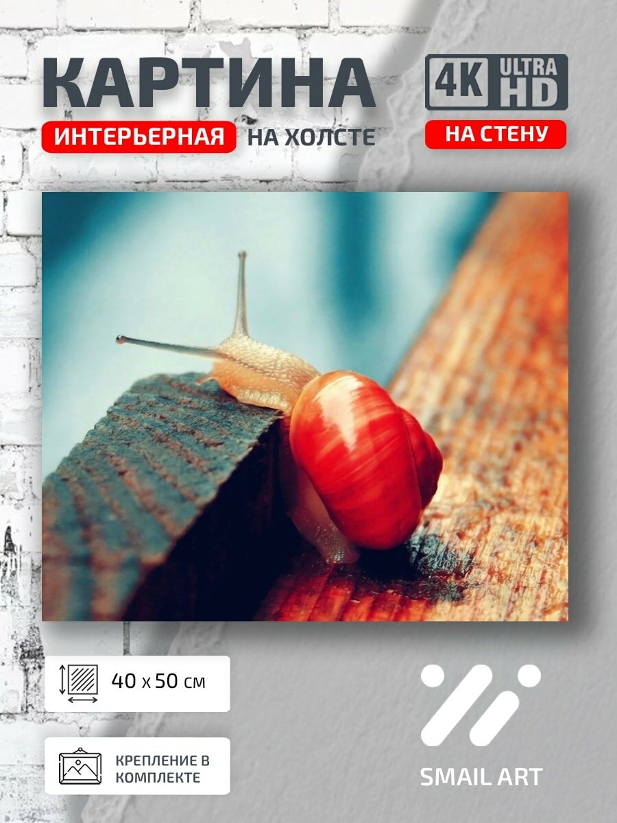 Картина на холсте интерьерная 40 на 50 на стену Животные Snai для студии атмосфера