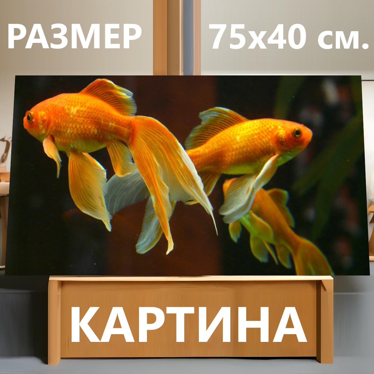 Картина на холсте "Вуаль хвоста, рыбы, золотая рыбка" на подрамнике 75х40 см. для интерьера