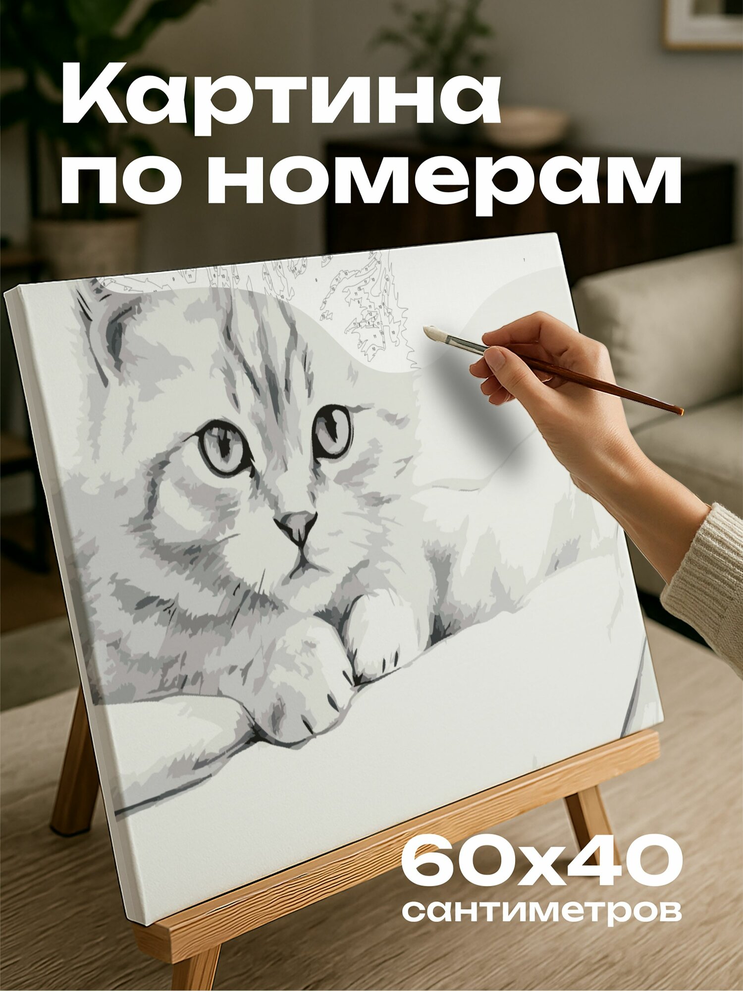 Картина по номерам 60x40 см, карандашный набросок, кошка британская порода, круглая мордочка, выразительные глаза