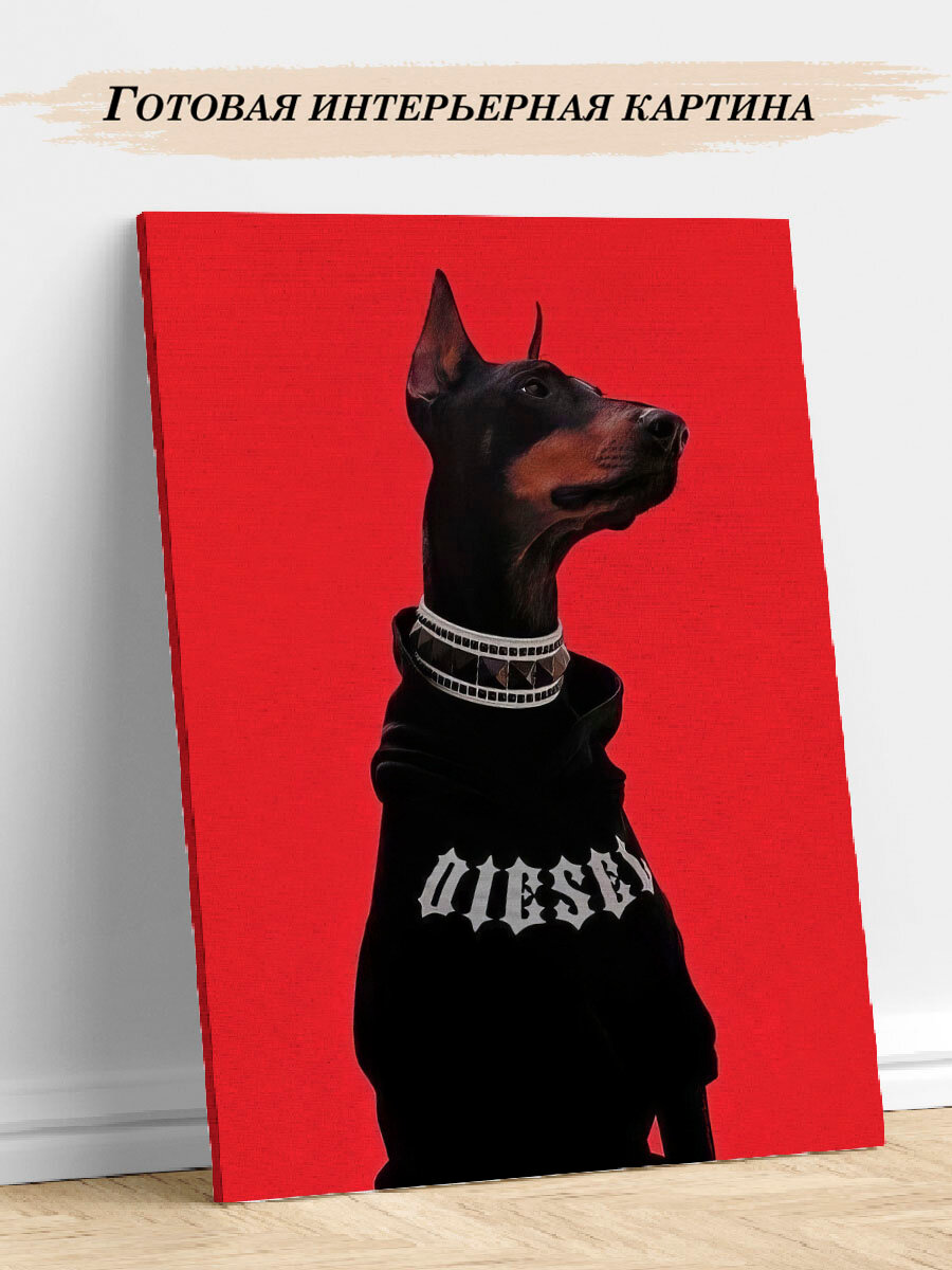 Картины для интерьера 50х70 Доберман черная собака в худи