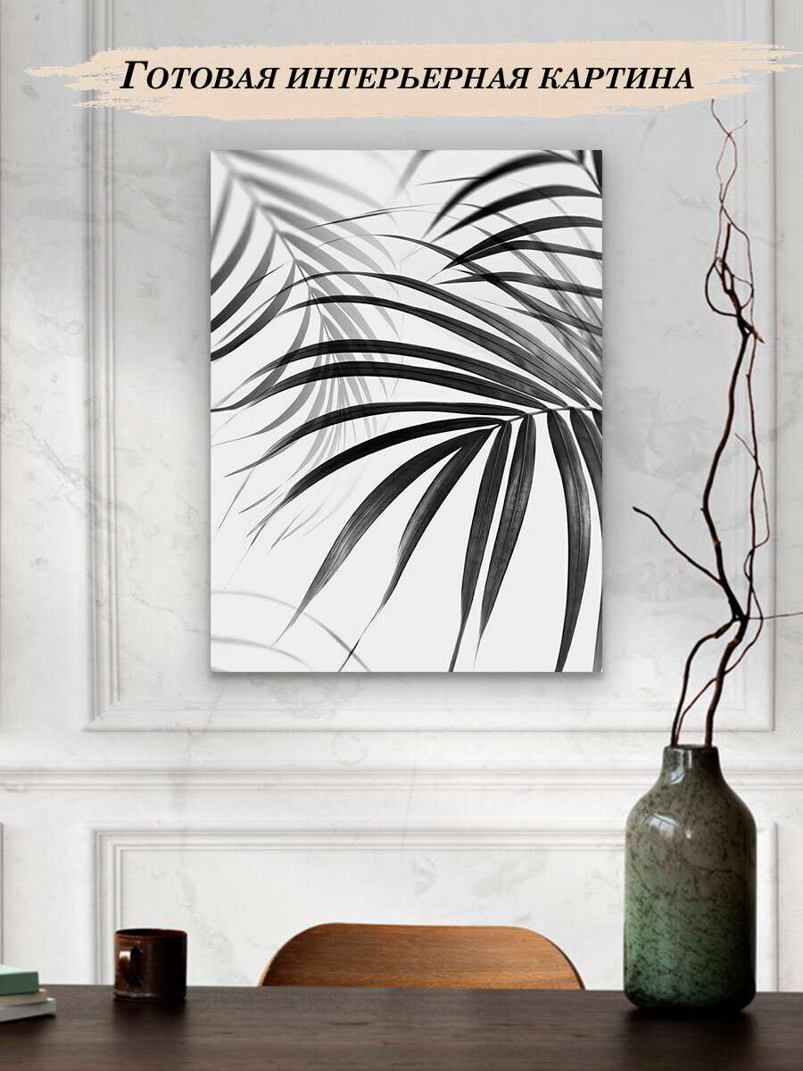 Картины для интерьера 30х40 Черно-белый фон лист хамедорея