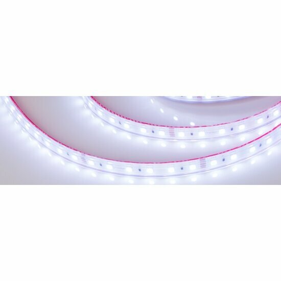Светодиодная лента Arlight 14,4W/m 60LED/m 5060SMD разноцветный 5M 021400(2)