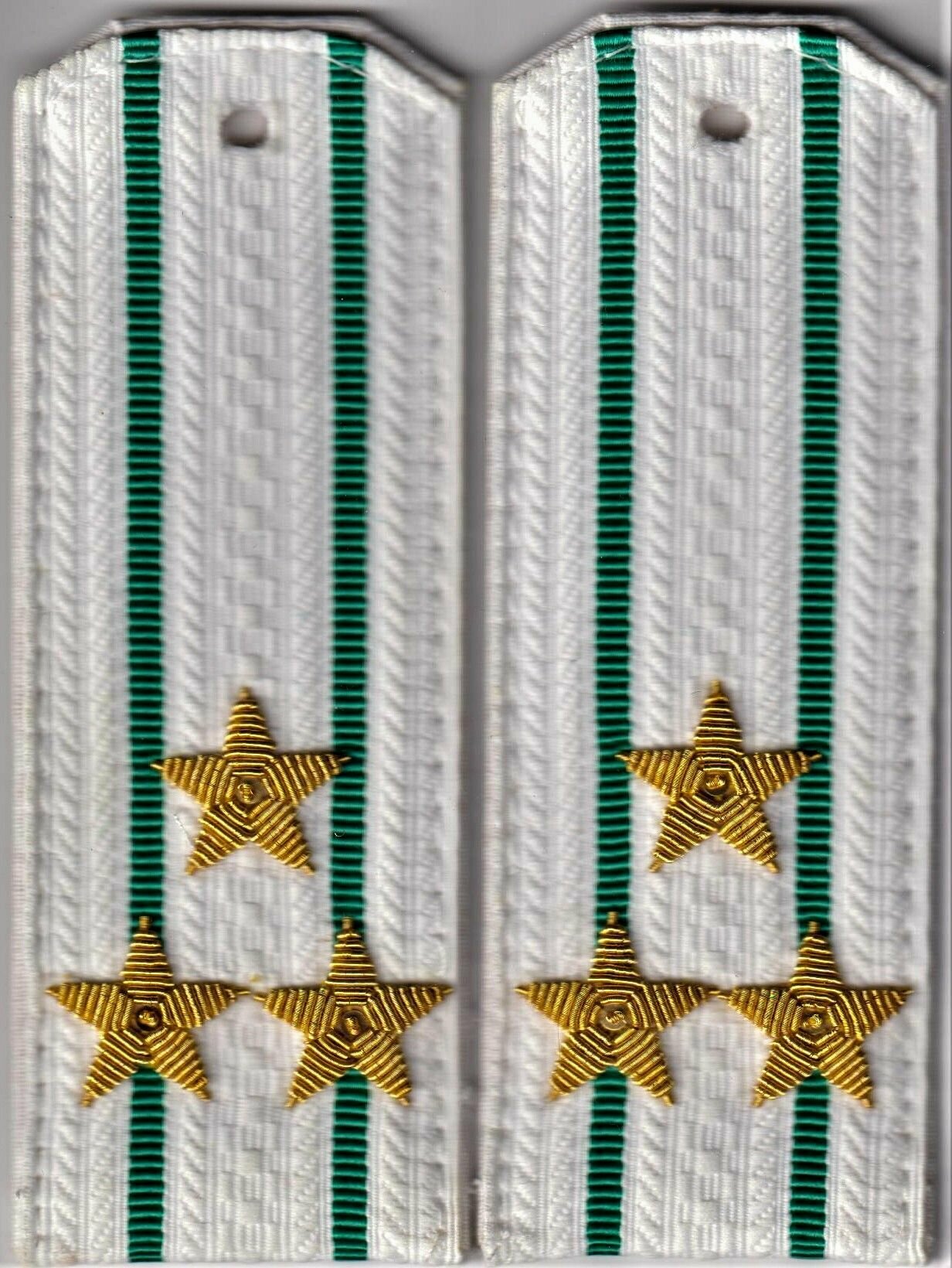 Погоны ПС ФСБ (пограничная служба) на белую рубашку, полковник