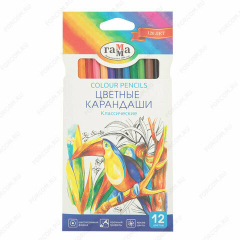 Набор цветных карандашей гамма Классические, шестигранные, 12 цветов (гамма 050918_02_02, 181474)