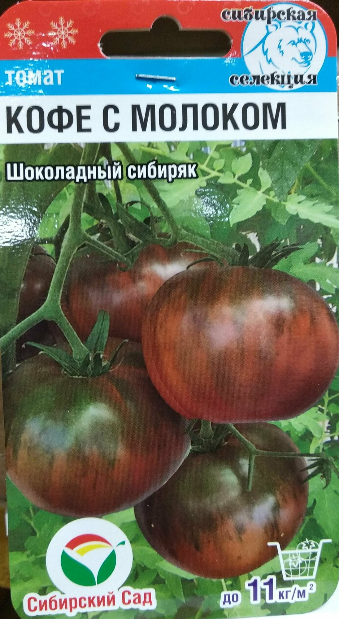 Томат Кофе с Молоком (Сибирский сад), темноплодный шоколадный сибиряк, выдерживает затенение, холодостойкий сорт, 20 семян