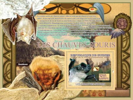 Почтовые марки Гвинея 2009г. "Фауна - Летучие Мыши" Летучие мыши MNH