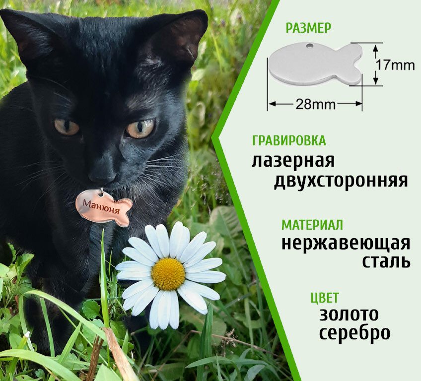 Брелок-адресник для кошек с гравировкой из нержавеющей стали с покрытием под серебро