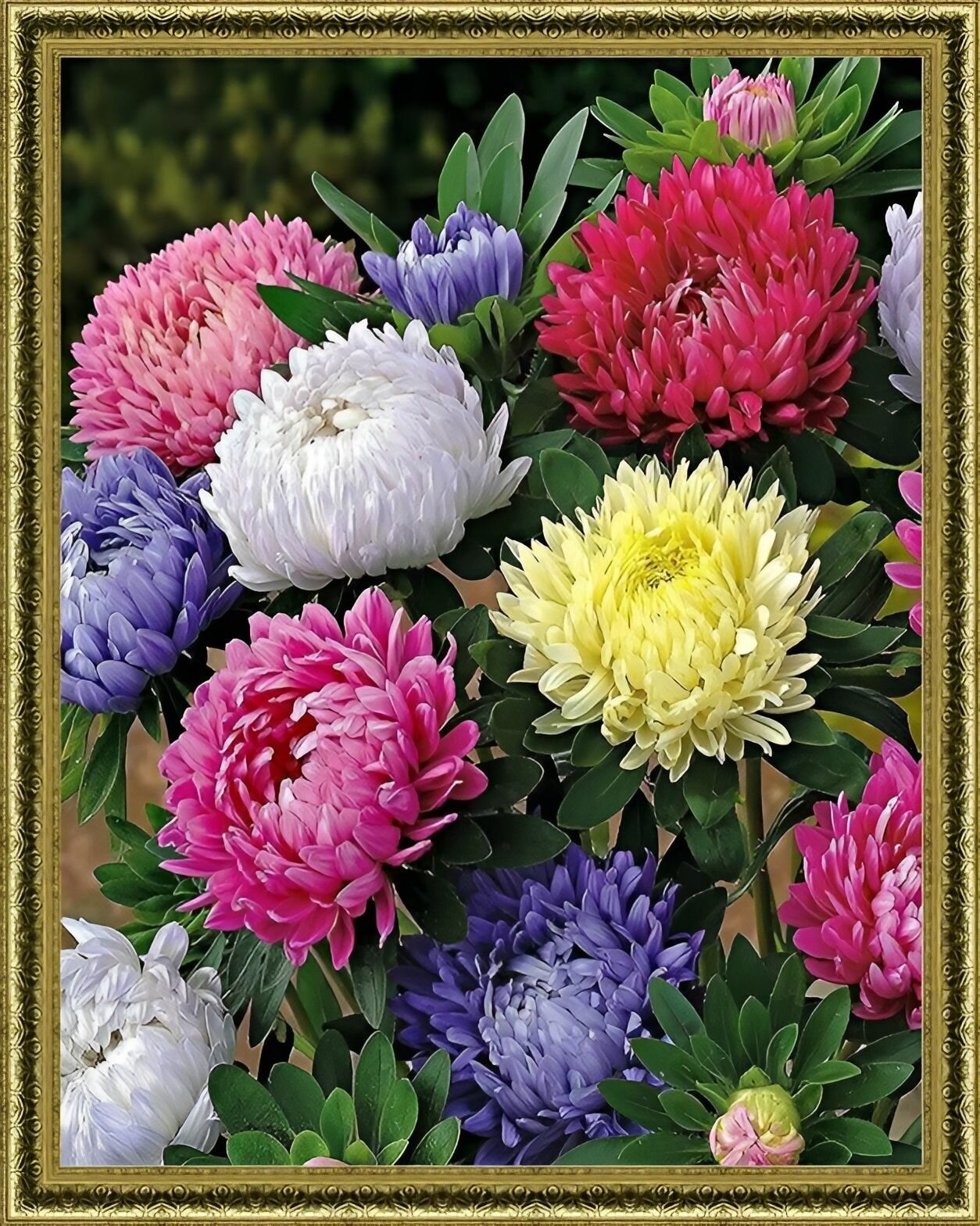 Алмазная мозаика на подрамнике полная выкладка круглые стразы 40*50 "Яркие астры"