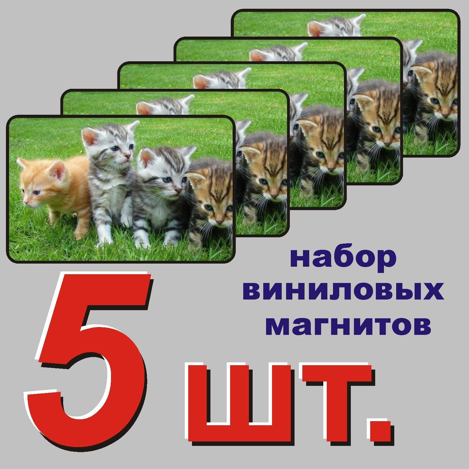 Магнит на холодильник "Котики" 5 шт.