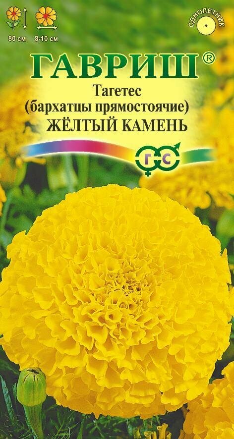 Бархатцы Желтый камень прямост. 0,3гр. однол. (Гавриш)