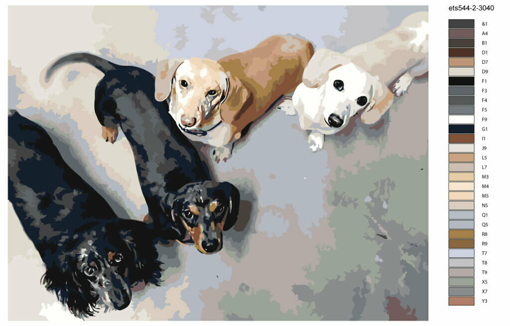 Картина по номерам "Собаки. Таксы" ets544-2-3040 40x50