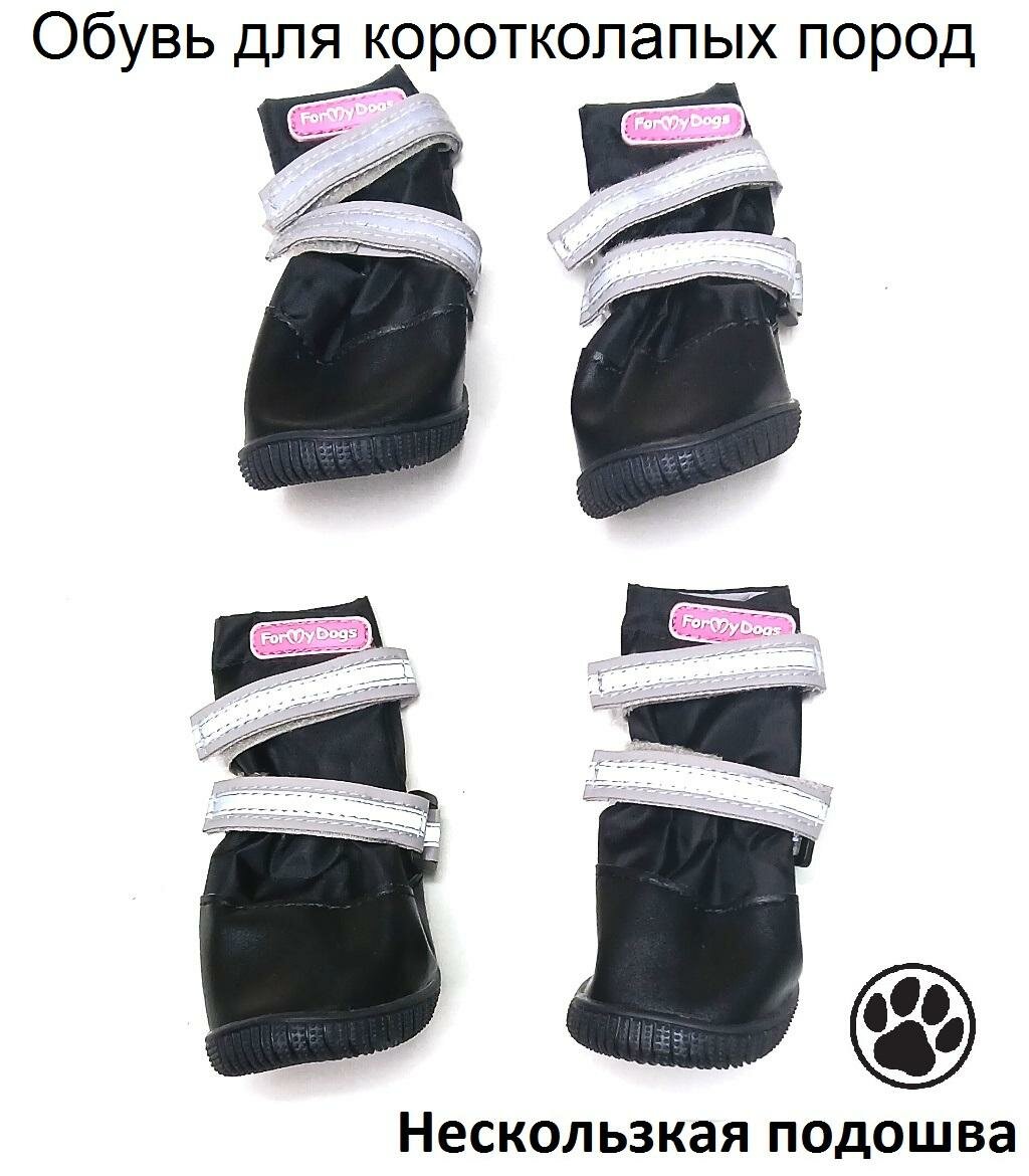 Обувь для собак коротколапых пород (7 )
