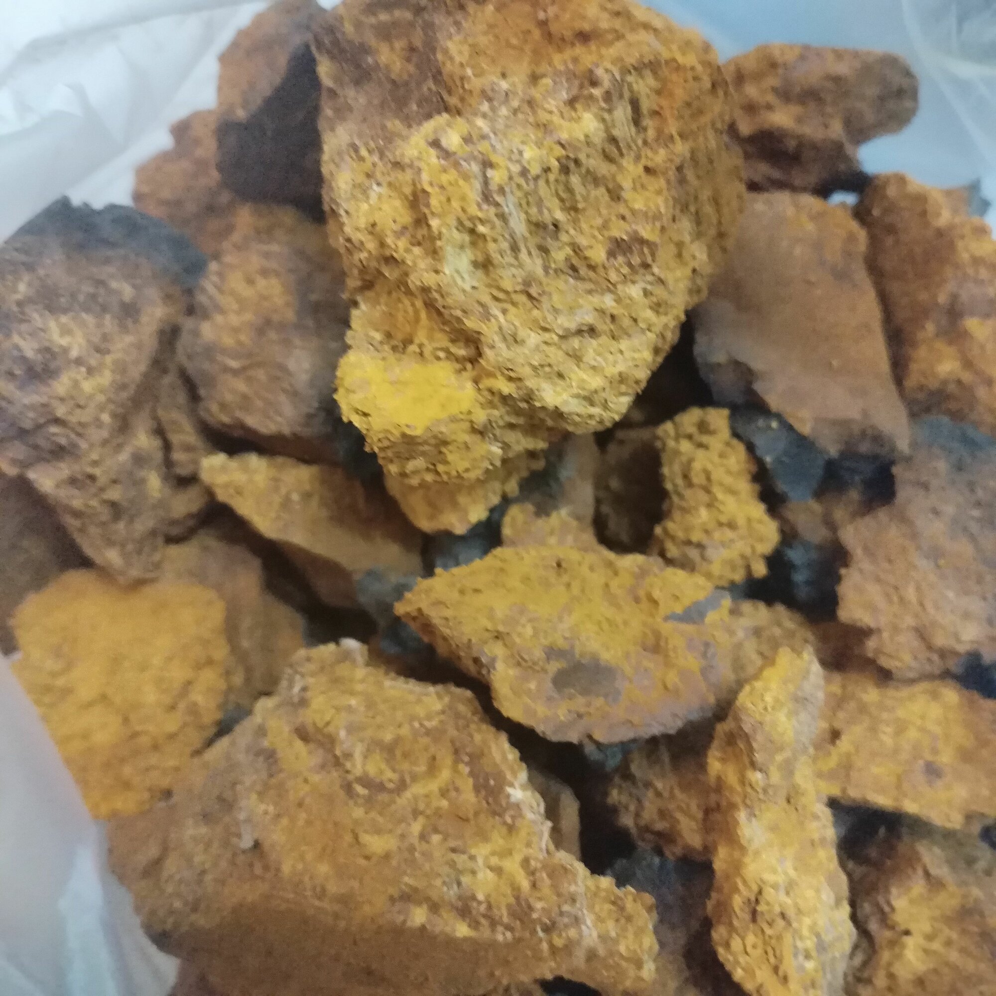 Чага свежая березовая молотая из леса Башкирии.