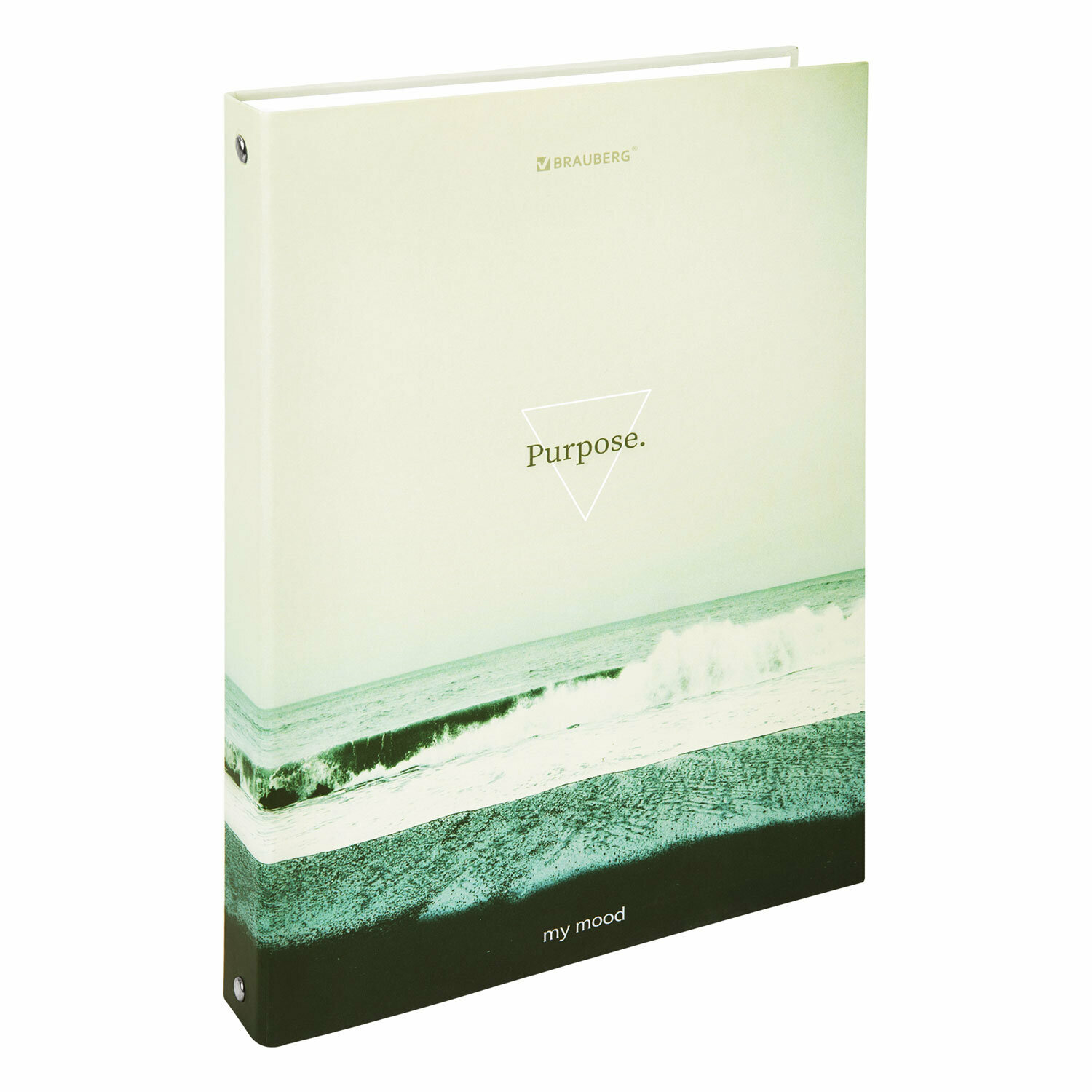 Тетрадь на кольцах большая А4, 215х305 мм, 100 л, твердый картон, клетка, BRAUBERG, "Nature", 405411