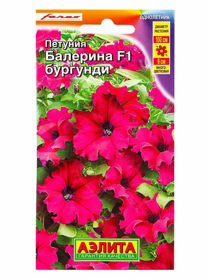 Семена цветов Петуния Балерина бургунди крупноцветковая F1 (драже) С. Farao, Ц/П,7 шт. 10945652