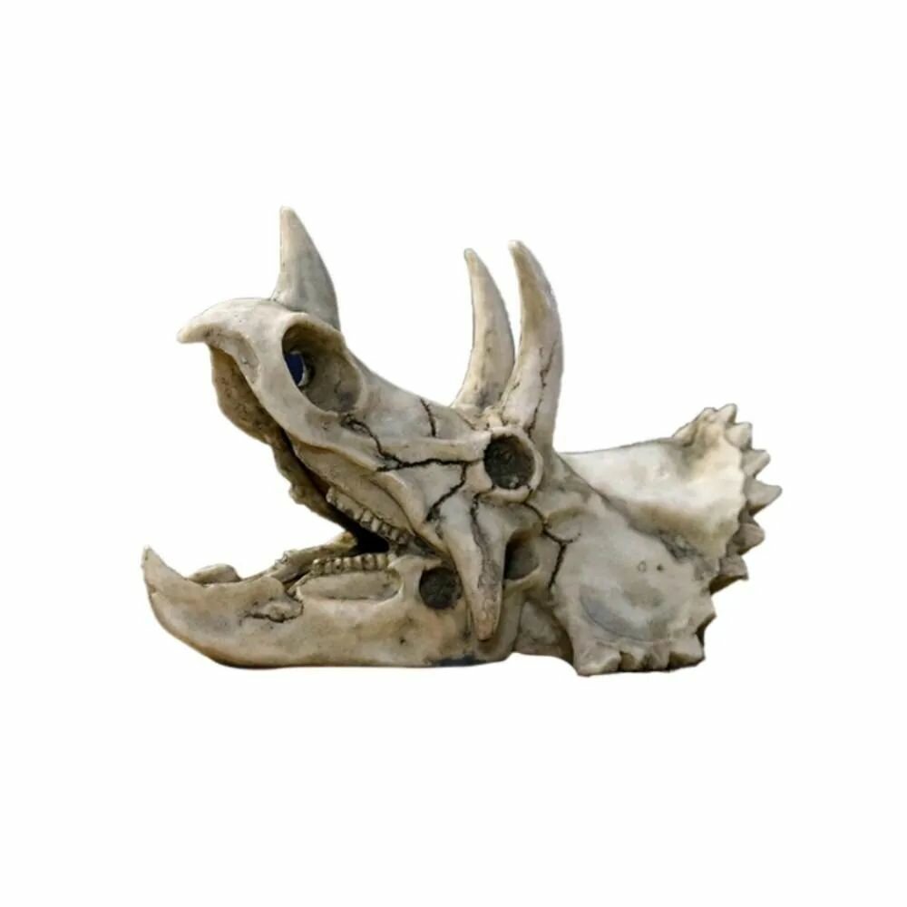 Украшения Череп Животных