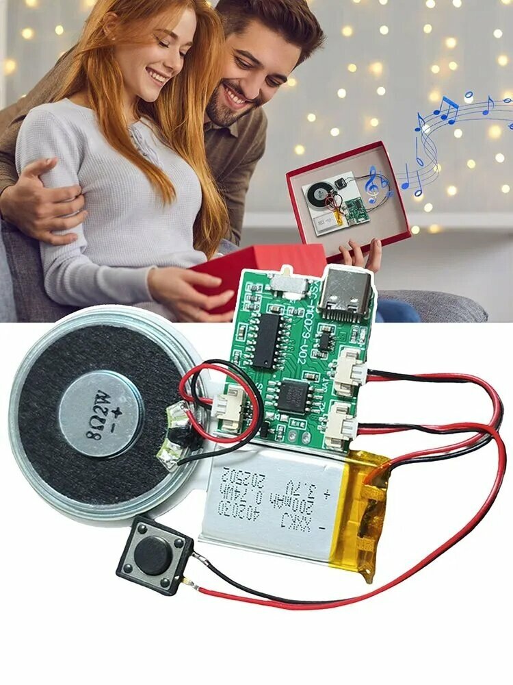 Голосовой рекордер наполненные животные, голосовая запись чучела животного , Заготовка для изготовления игрушек