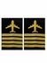 Погоны капитана для формы