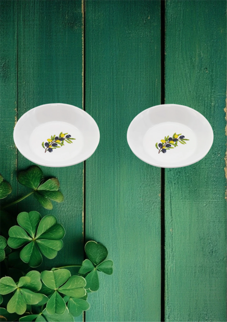 Блюдце глубокое 14 см 2 штуки Оливки Дулевский фарфоровый завод