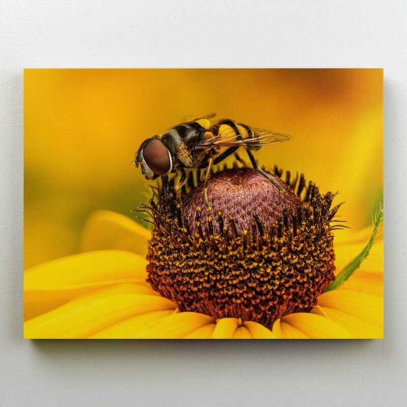 Интерьерная картина на холсте "Макросъемка - пчела опыляет цветок" размер 30x22 см
