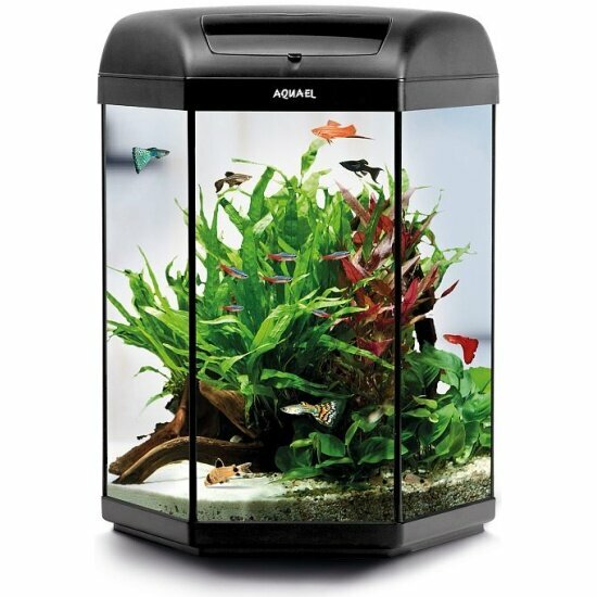 Аквариум с оборудованием Aquael НEXA SET BLACK 60 (41х41х60см) 60 л, черный
