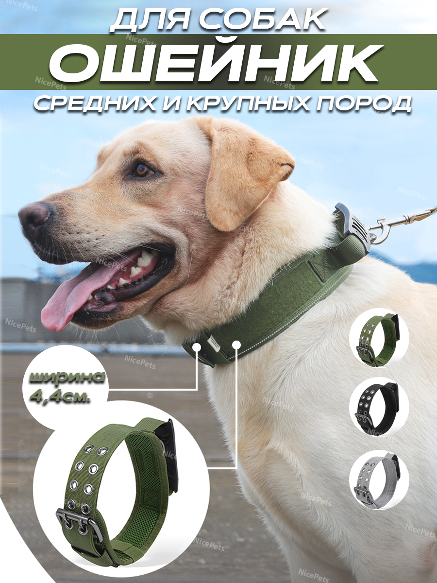 Ошейник для собак крупных пород широкий